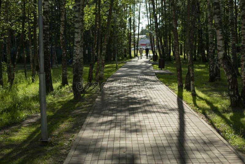 Park Path in Summer. Tiled Road Stock Image - Image of stone, texture ...