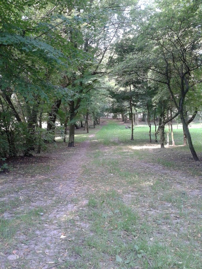 Park path stock image. Image of natural, trees, park - 42667961