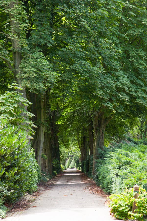 Park path stock image. Image of park, nature, path, trees - 45776831
