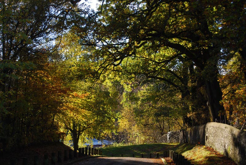Park Path with Trees in Autumn / Fall Stock Photo - Image of parkland ...