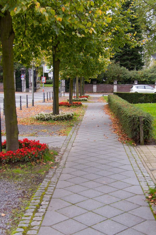 Park path stock image. Image of nature, green, bright - 39312883