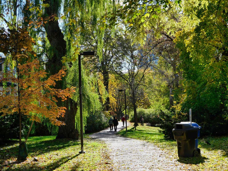 Park Path Winding through Trees Editorial Photography - Image of ...