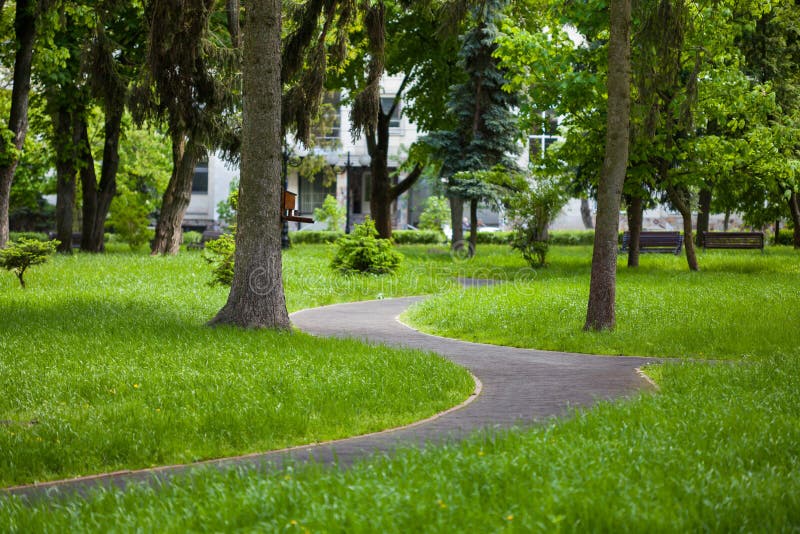 Park paths stock photo. Image of lush, country, bench - 183538442