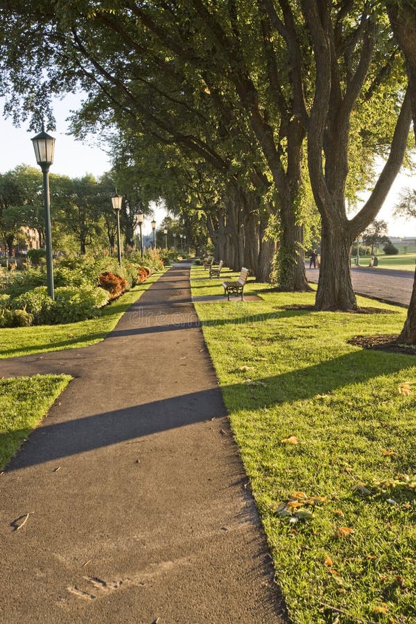 Park Pathway stock photo. Image of grass, lamps, pathway - 12911982