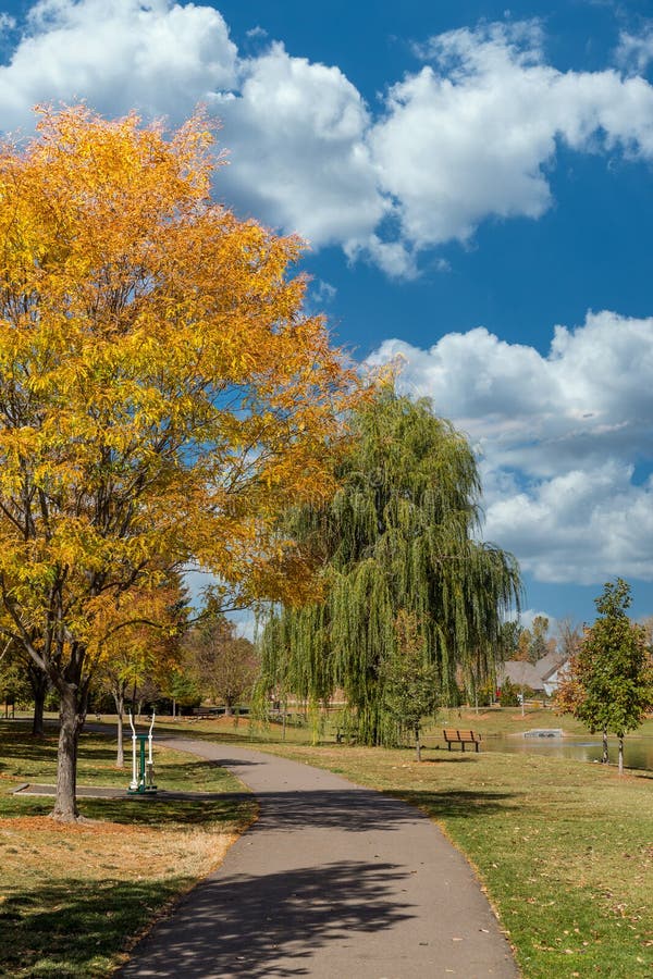 Park Pathway in Fall stock photo. Image of orange, bright - 189170990