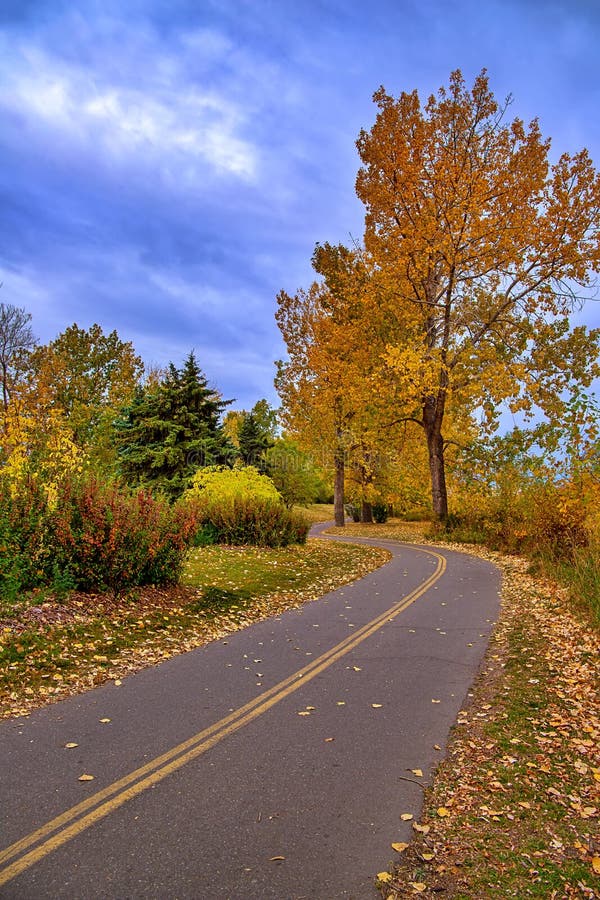 Pathway in the Fall stock image. Image of ground, garden - 2752207