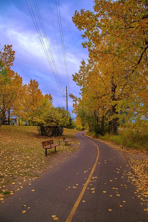 Pathway in the Fall stock image. Image of ground, garden - 2752207