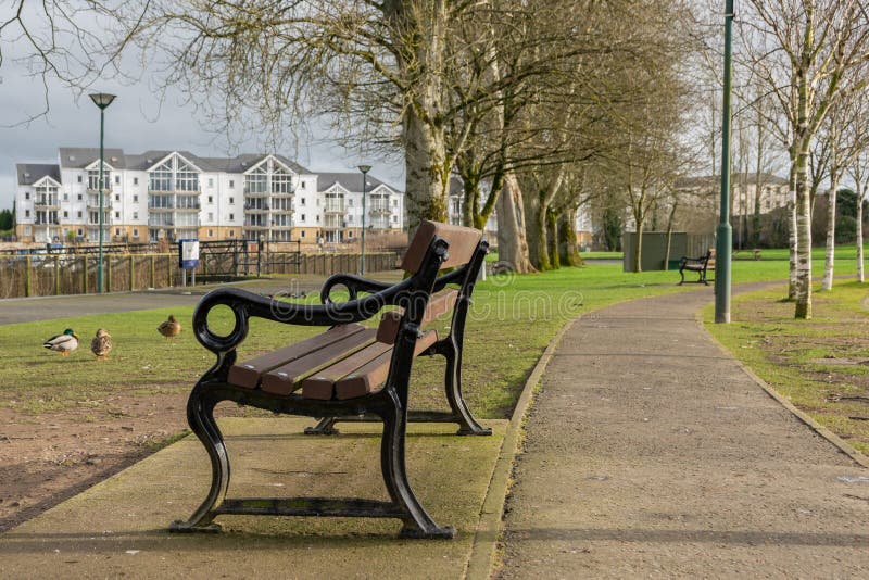 Park pathway in Ireland stock photo. Image of spring - 139660044