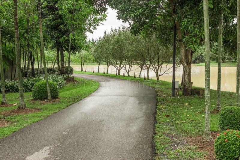 Park pathway stock photo. Image of beautiful, landscape - 80181552
