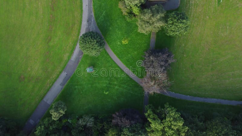 Birds Eye View of a Lake by the Forest with the Sunset on the Horizon ...