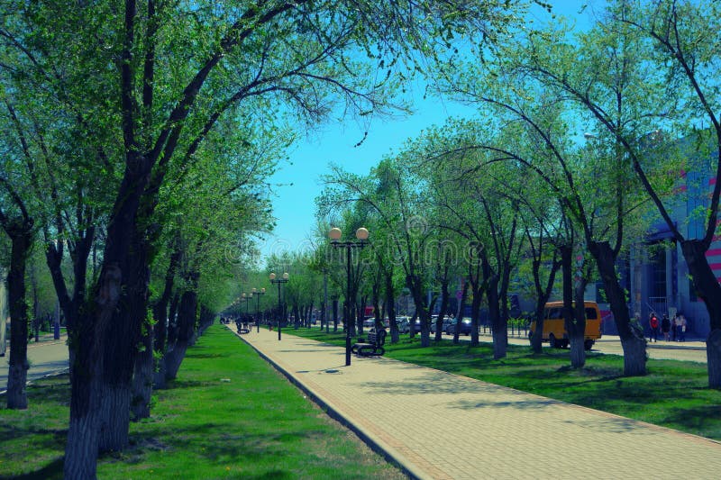 Park Paved Path, Benches, Street Lamps in Spring Day Stock Image ...