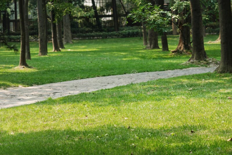 Park plants stock photo. Image of landscape, plants, parks - 31025344