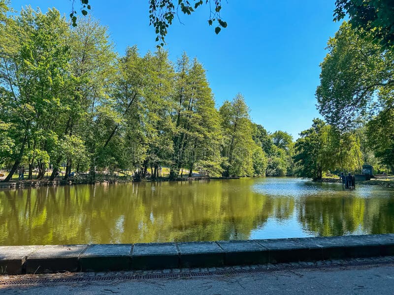Park with a pond and trees stock image. Image of tranquil - 358539953