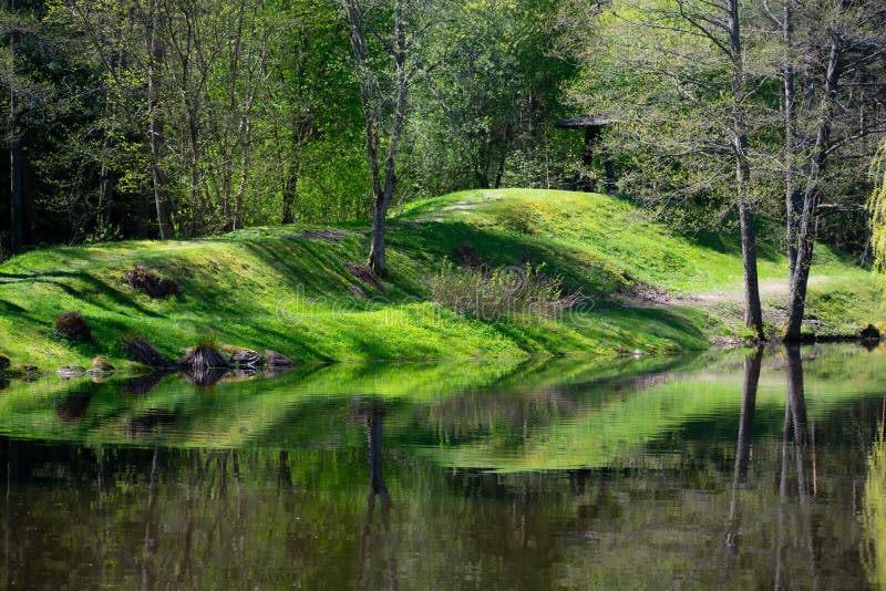 Park Pond with Trees Reflection in the Water Stock Image - Image of ...