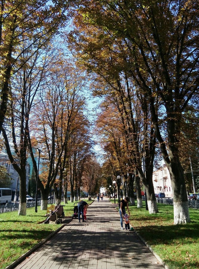 Park editorial stock photo. Image of processed, park - 88953443