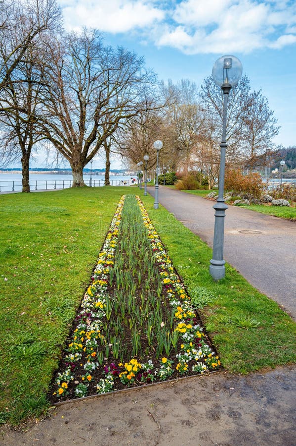 Park and Promenade by Lake Constance in Bregenz Stock Photo - Image of ...