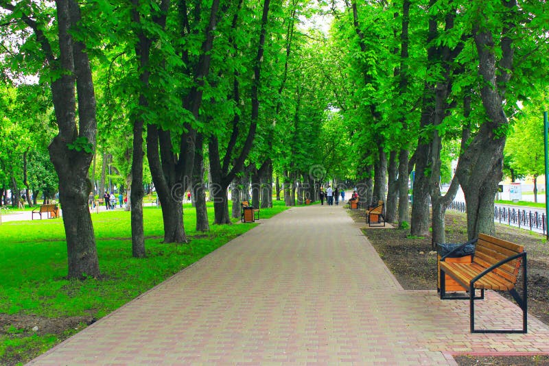Park with Promenade Path and Big Green Trees Stock Photo - Image of ...