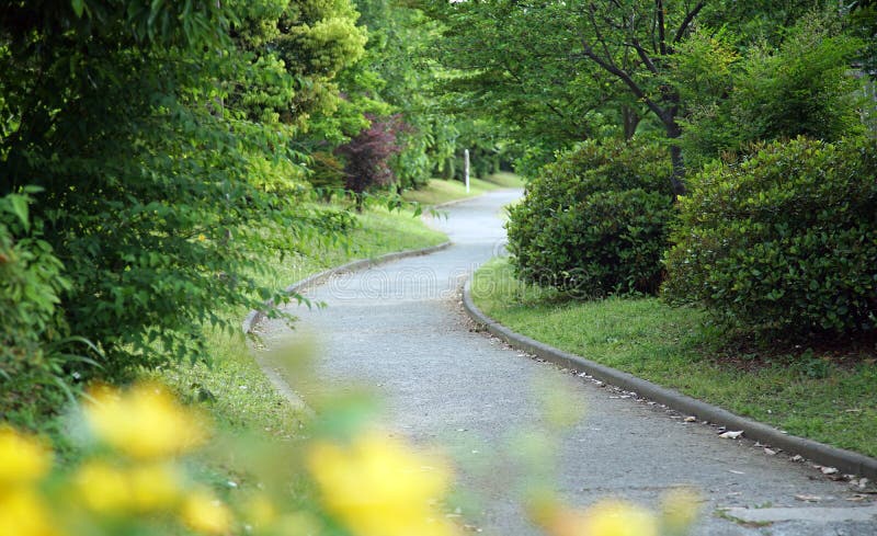 Promenade stock image. Image of sunny, flower, view - 247604735