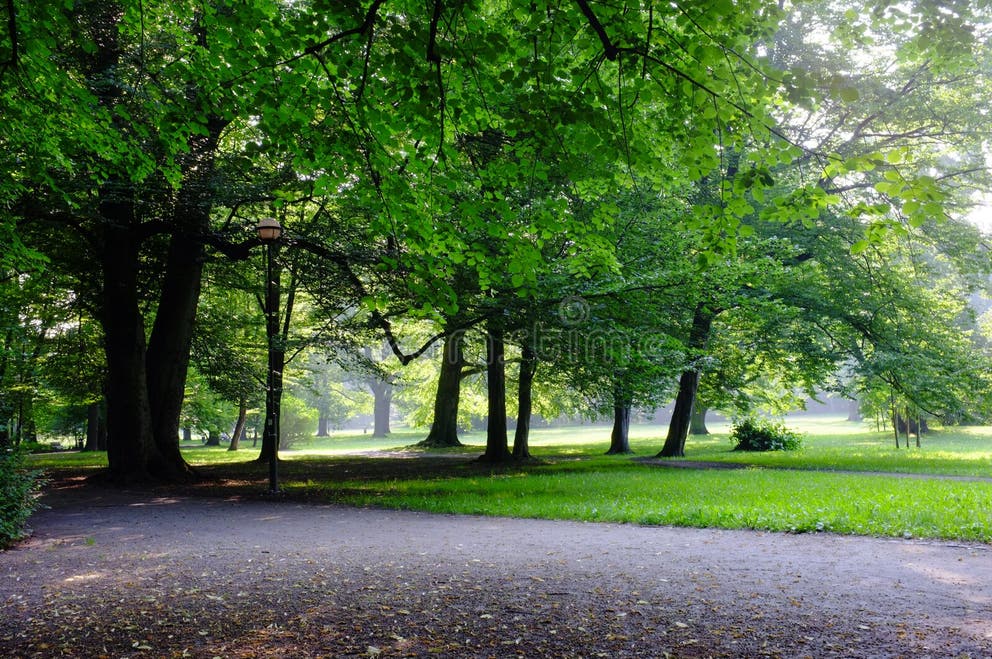 Park on rainy day stock photo. Image of park, landscape - 25573120