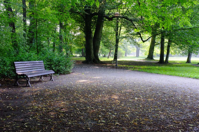 Park on rainy day stock image. Image of damp, green, dense - 25573121