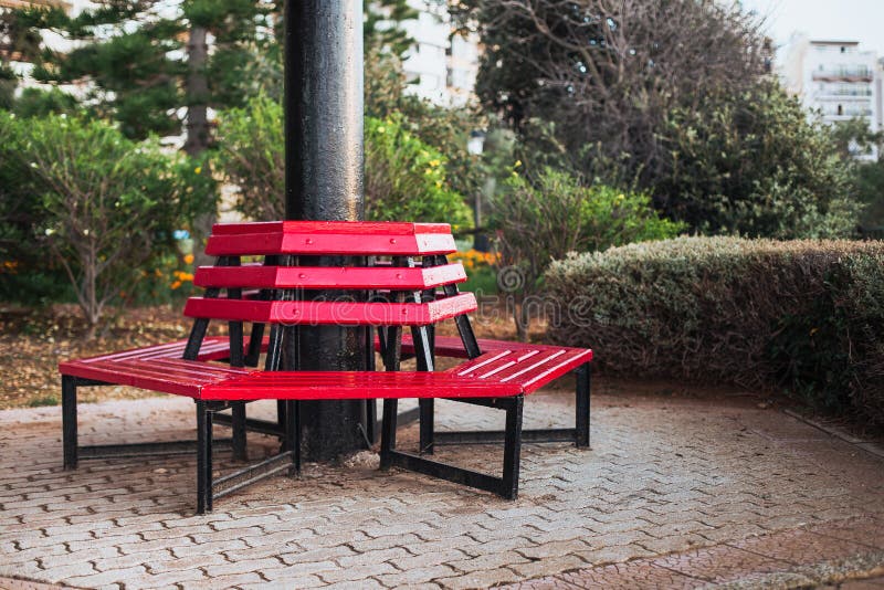 Park Red Bench Located Around the Column Stock Photo - Image of flora ...