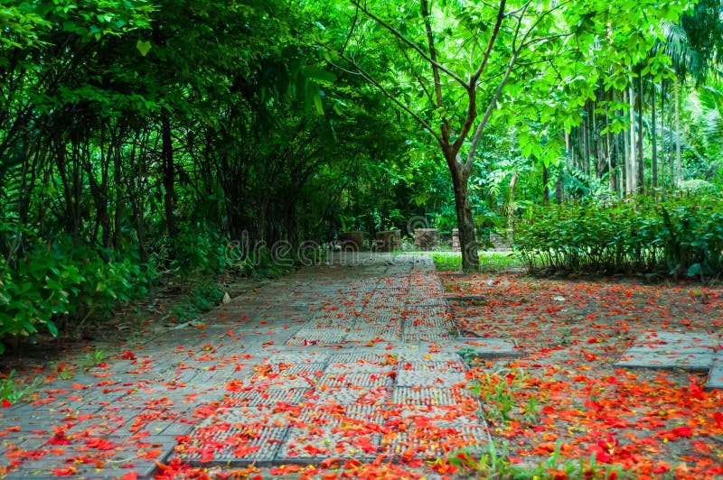 The Park with Red Flower Spring on the Ground Stock Photo - Image of ...