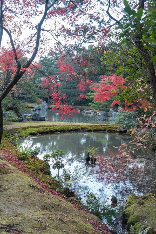 The Park with Red Maples Tree in Japan Stock Image - Image of maples ...