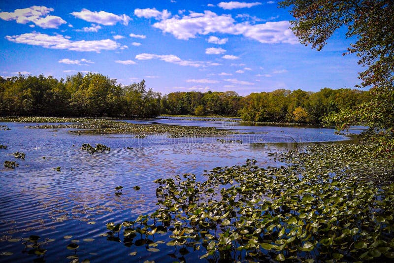Skies Hempstead Lake State Park Stock Photos - Free & Royalty-Free ...