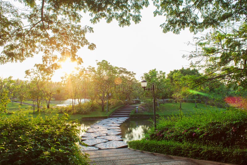 The park relaxation stock image. Image of nature, city - 63932975