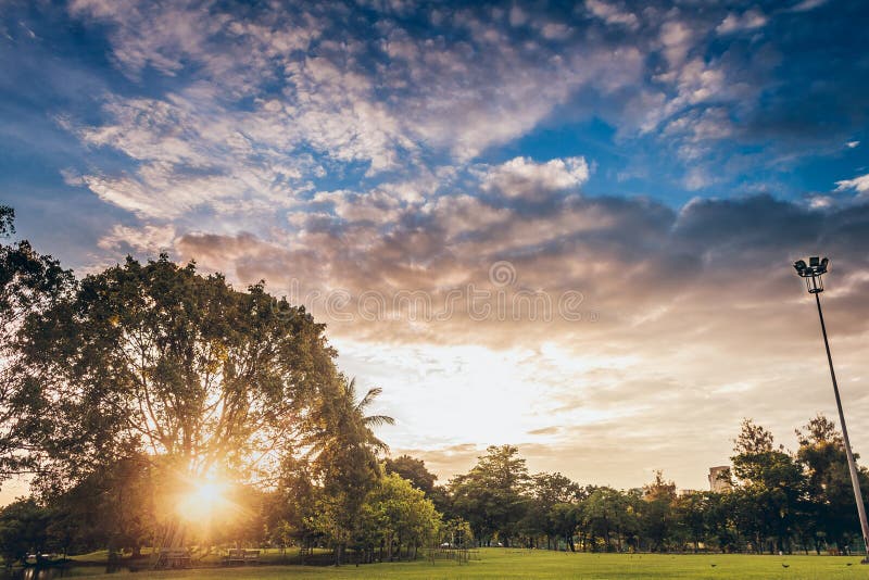 The park relaxation stock photo. Image of landscape, landscapes - 64845354