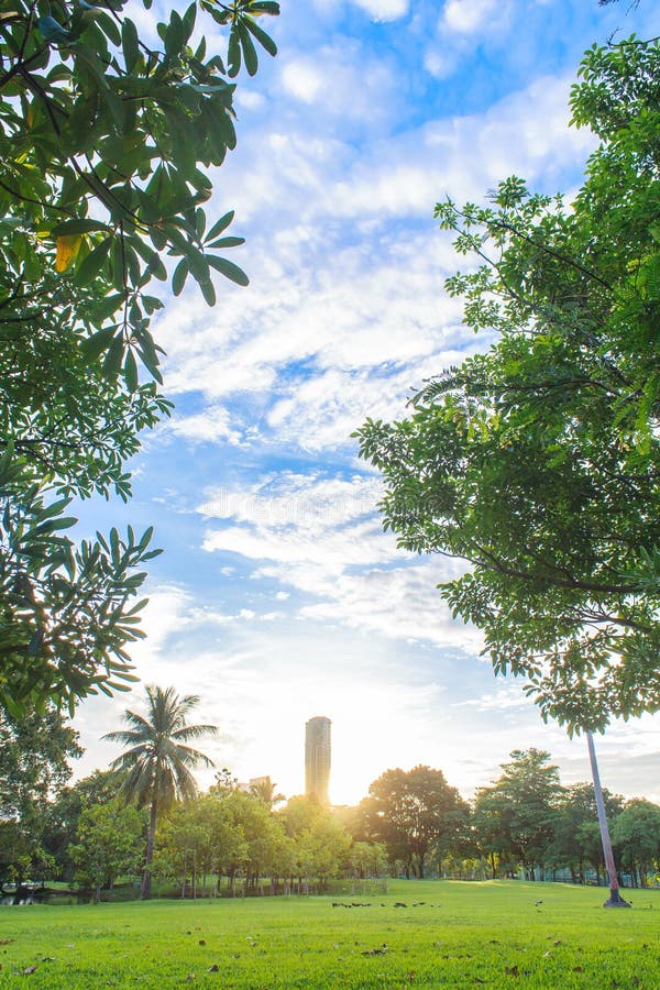 The park relaxation stock image. Image of garden, bangkok - 64845411