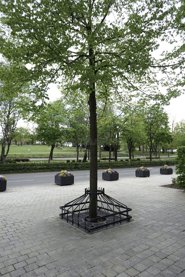 Park for Rest with Lush Greenery Stock Photo - Image of landscape ...