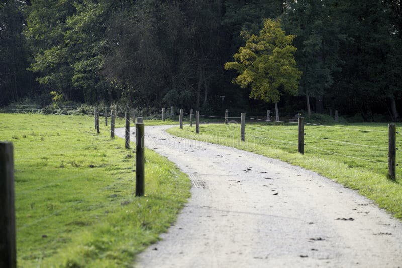 Park for Rest with Lush Greenery Stock Photo - Image of light, plant ...