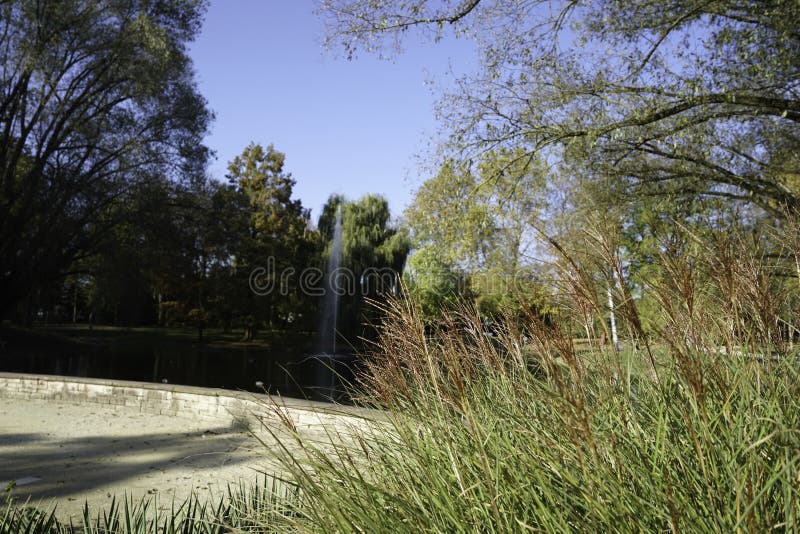 Park for Rest with Lush Greenery Stock Photo - Image of natural ...