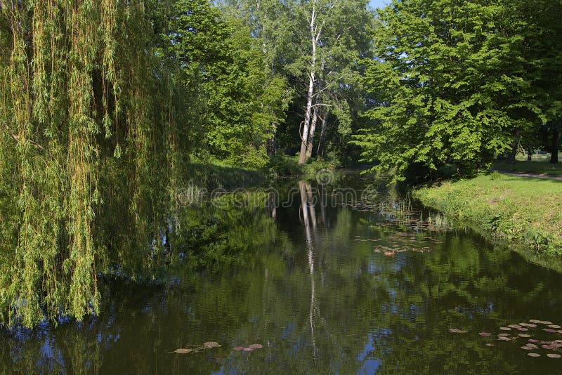 Park River Picture. Image: 6217670