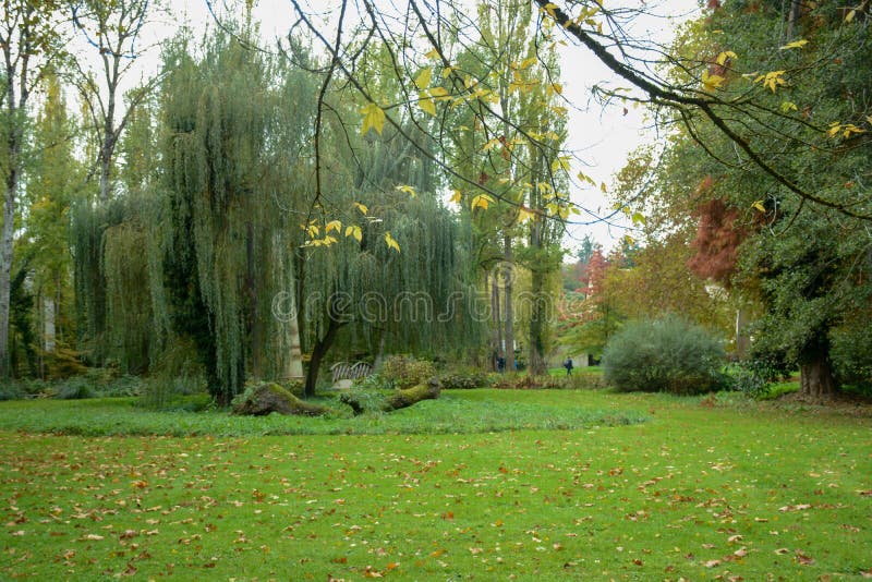 Park river bridge trees stock photo. Image of nature - 188305126