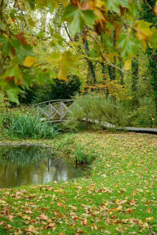 Park river bridge trees stock image. Image of nbeautiful - 188305135