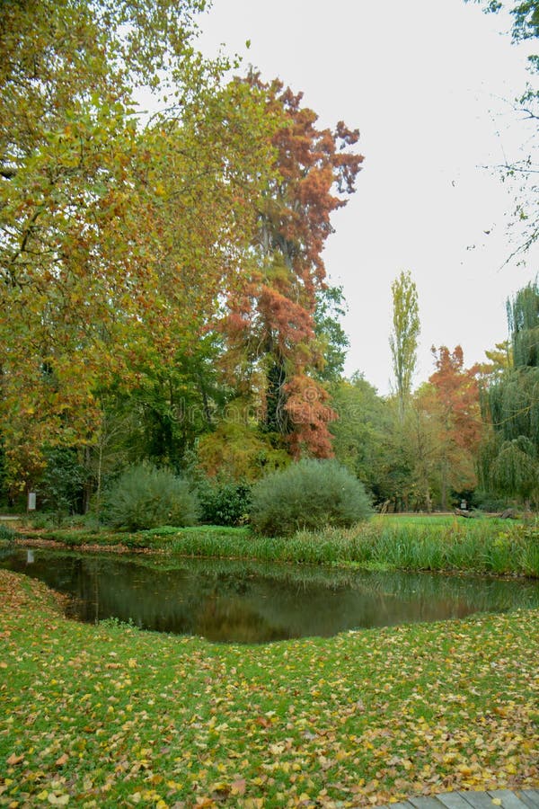 Park river bridge trees stock image. Image of outdoors - 188305167