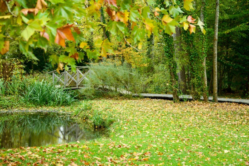 Park river bridge trees stock photo. Image of light - 188305184