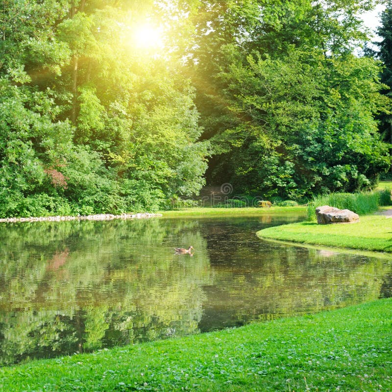 Park, river and sunrise stock photo. Image of grass, landscape - 43081470