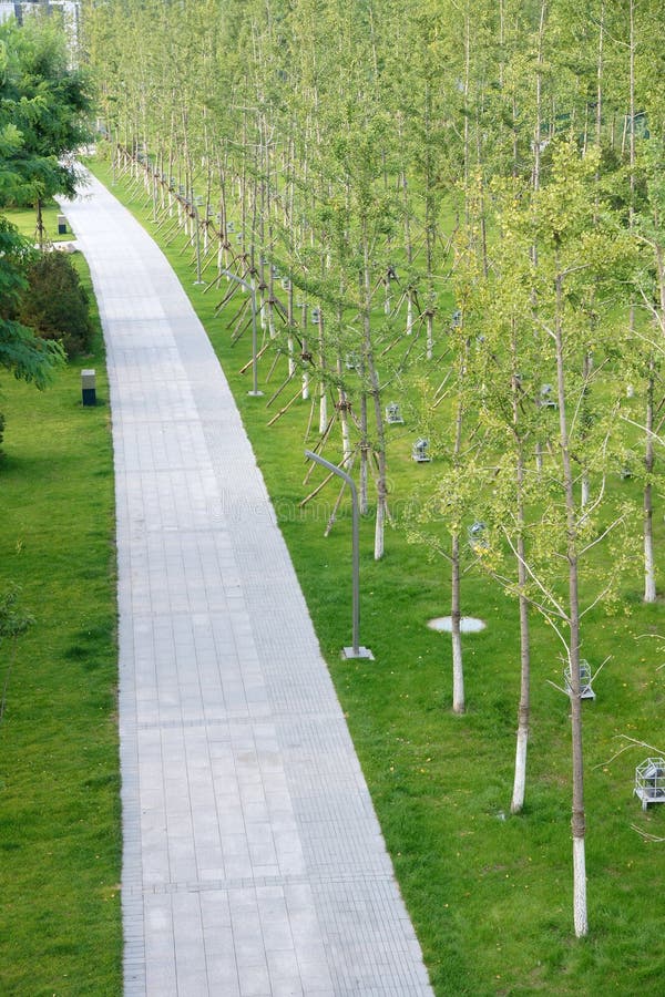 Park road stock photo. Image of park, landscape, grass - 26178292