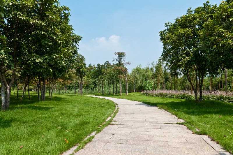 Park road stock image. Image of exercise, details, destination - 27983307