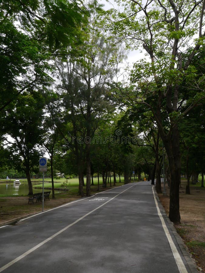Park Road stock image. Image of scenics, road, tree, parkroad - 42669037