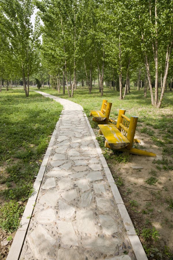 Park road and bench stock image. Image of road, neat - 14476041