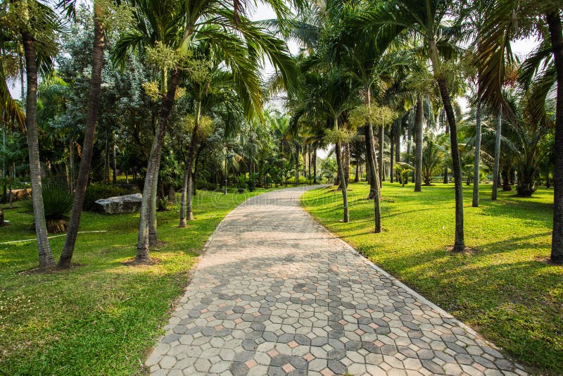 Park road stock image. Image of night, nature, bright - 36485205