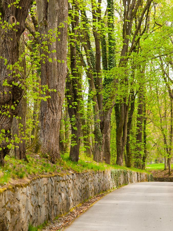 Park Road with Walls and Trees Around Stock Image - Image of spring ...