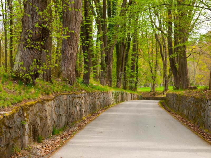 Park Road with Walls and Trees Around Stock Image - Image of foliage ...