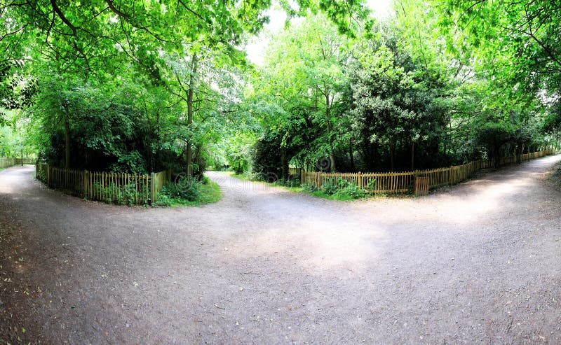 Park roads stock photo. Image of park, wide, plants, crossroads - 11594254
