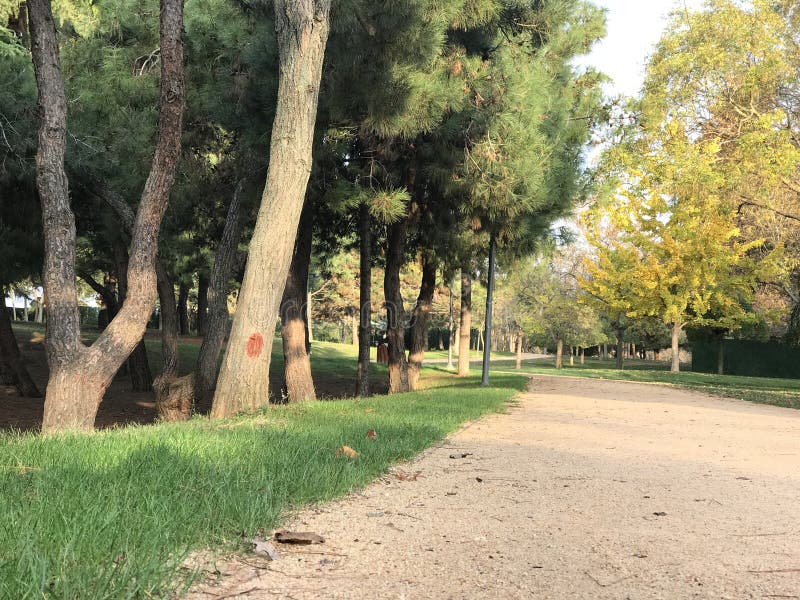 Park Roadside Greenery Landscape Stock Image - Image of landscape, park ...