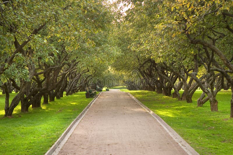 Park Rows 5 Picture. Image: 8660091